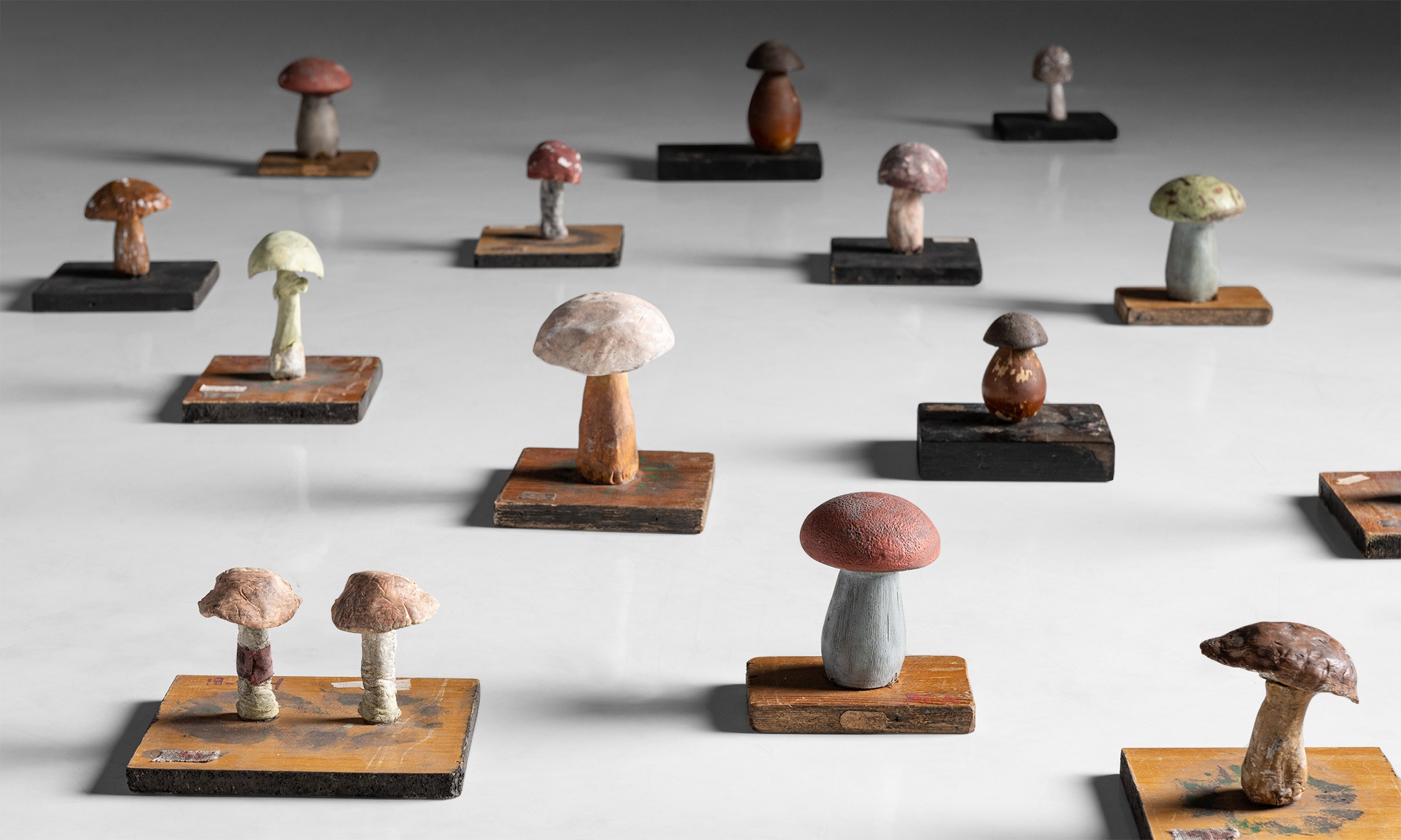 Set of ( 26 ) Fungi Models :: Obsolete