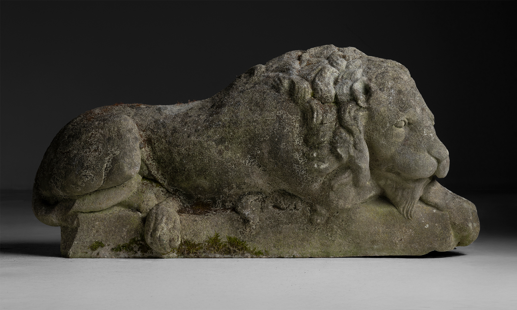 Large Stone Lions :: Obsolete