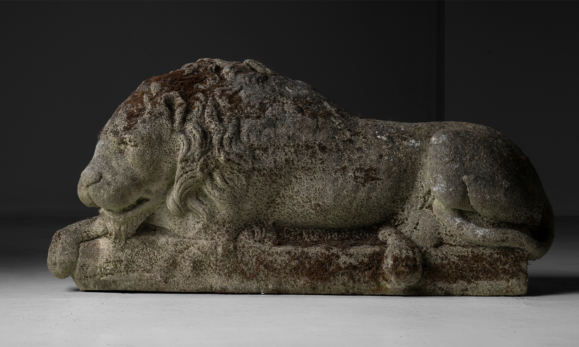 Large Stone Lions :: Obsolete